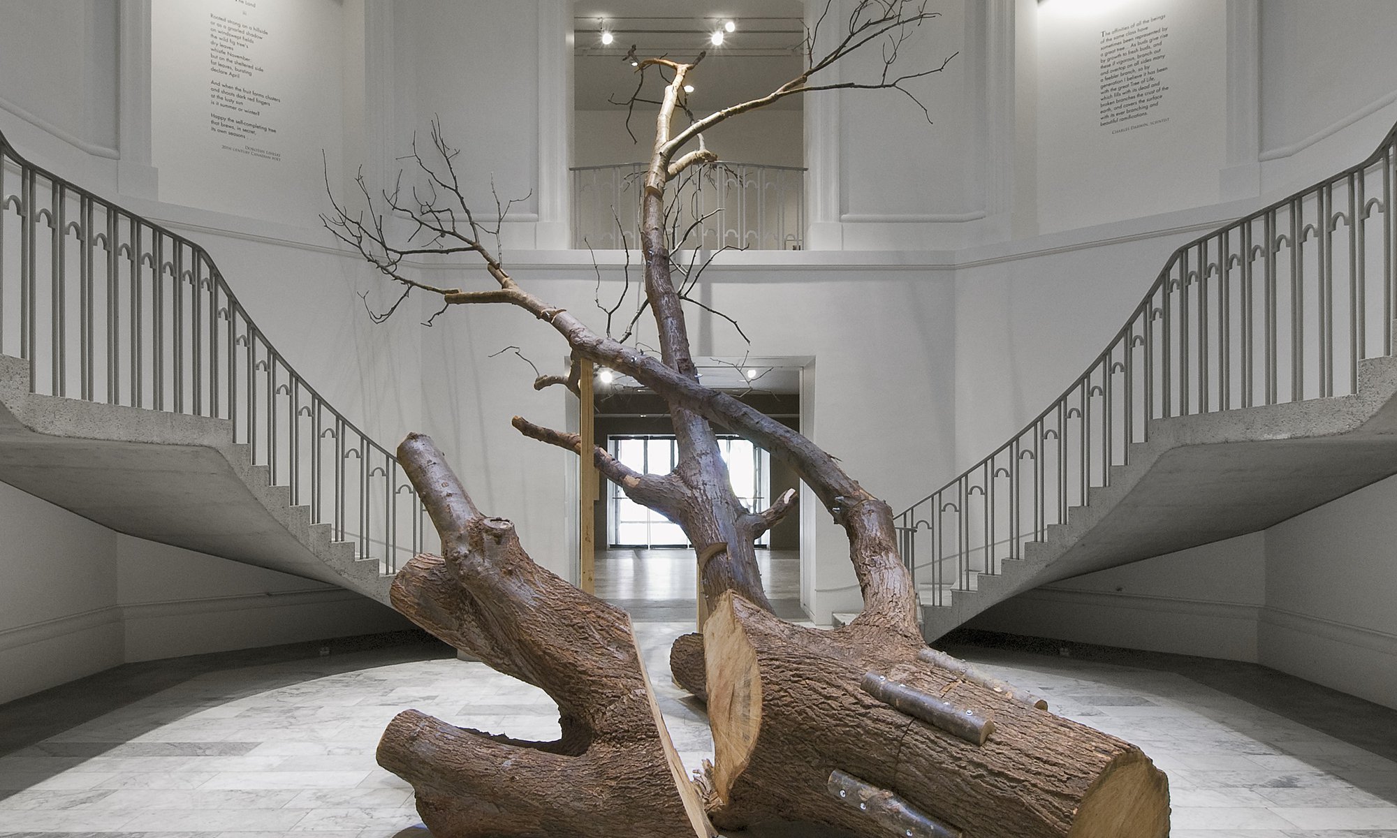 Guided Tours | Culturgest