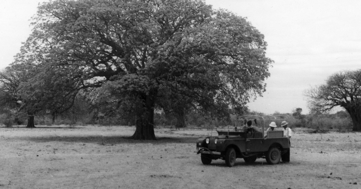 COLONIAL BOTANY, DECOLONIAL BOTANY | Culturgest