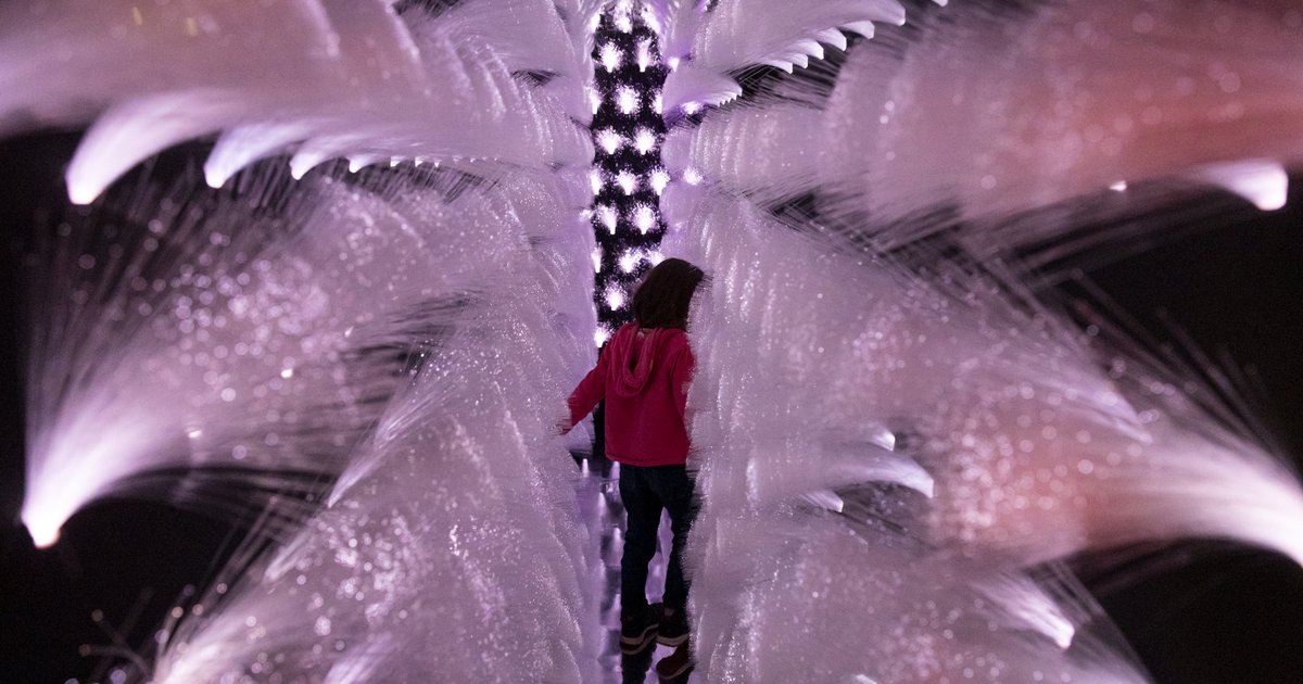 Ângela Rocha | Culturgest