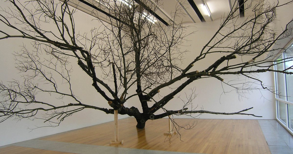 Guided Tours | Culturgest